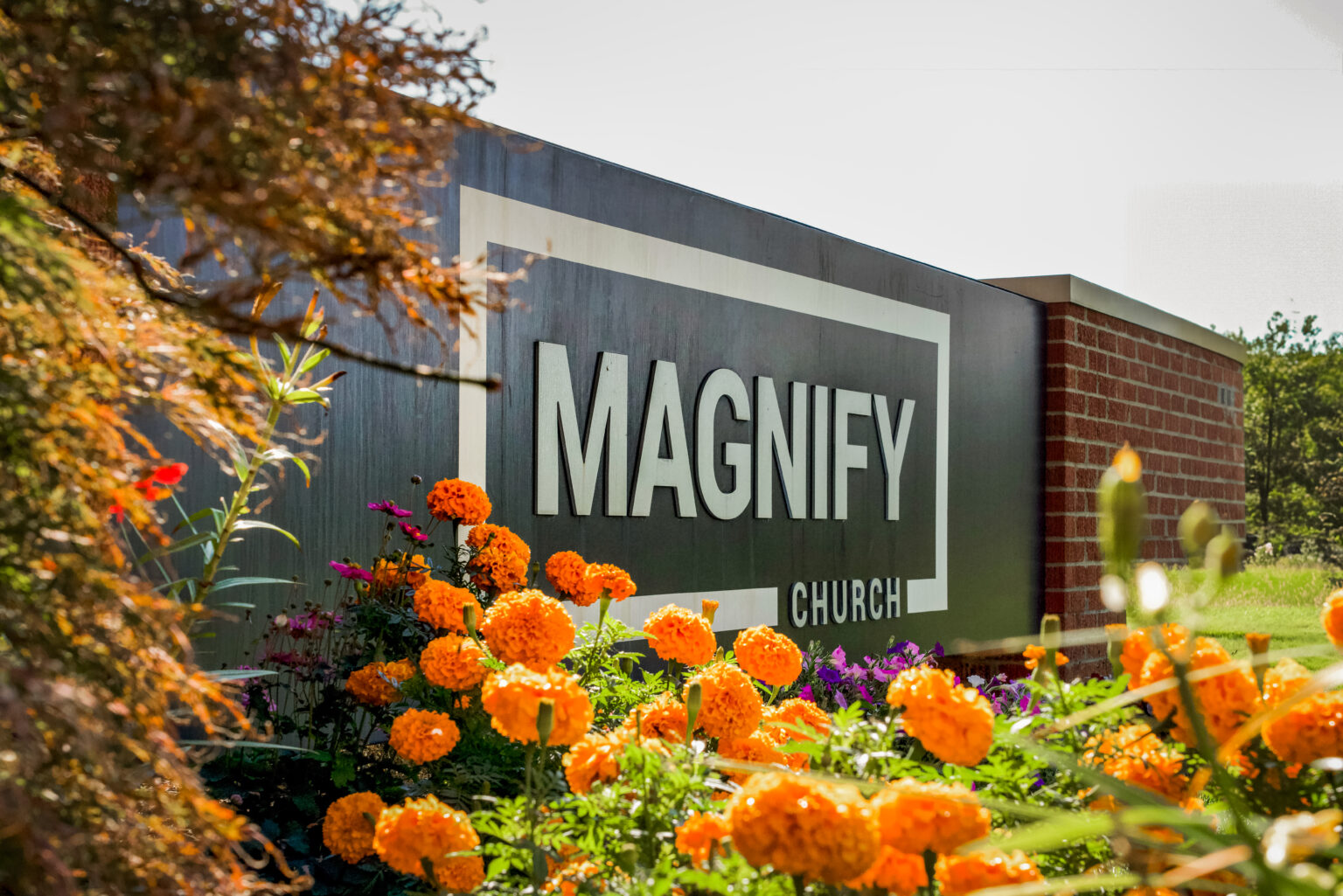 Rockford - Magnify Church